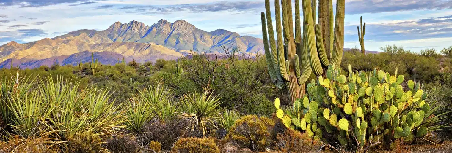 Our Substance Abuse Treatment Arizona Programs | Purpose