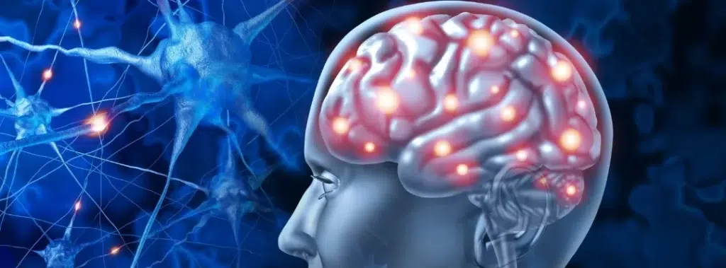 How Long Does it Take for Dopamine Receptors to Recover?