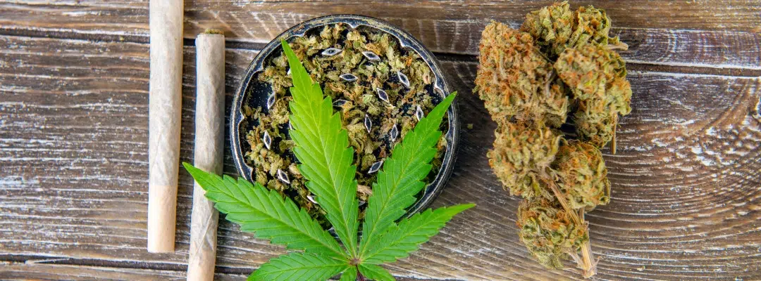 Is Fentanyl Laced Weed a Real Risk? | Purpose | Find Support