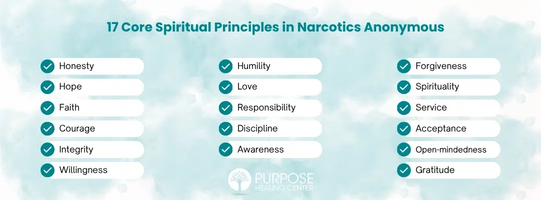 Core Spiritual Principles of Narcotics Anonymous | Purpose