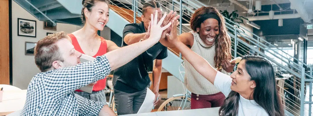 What are the NA Chips in Order? | Purpose | Get Support Now